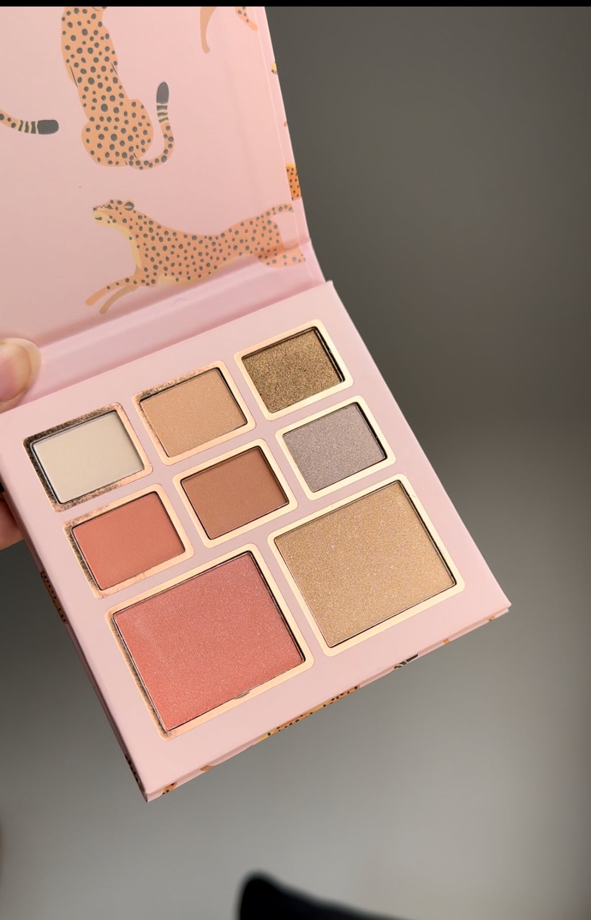 CHEETAH BYS BLUSH AND HIGHLIGHTER PALETTE – cherrypakistan